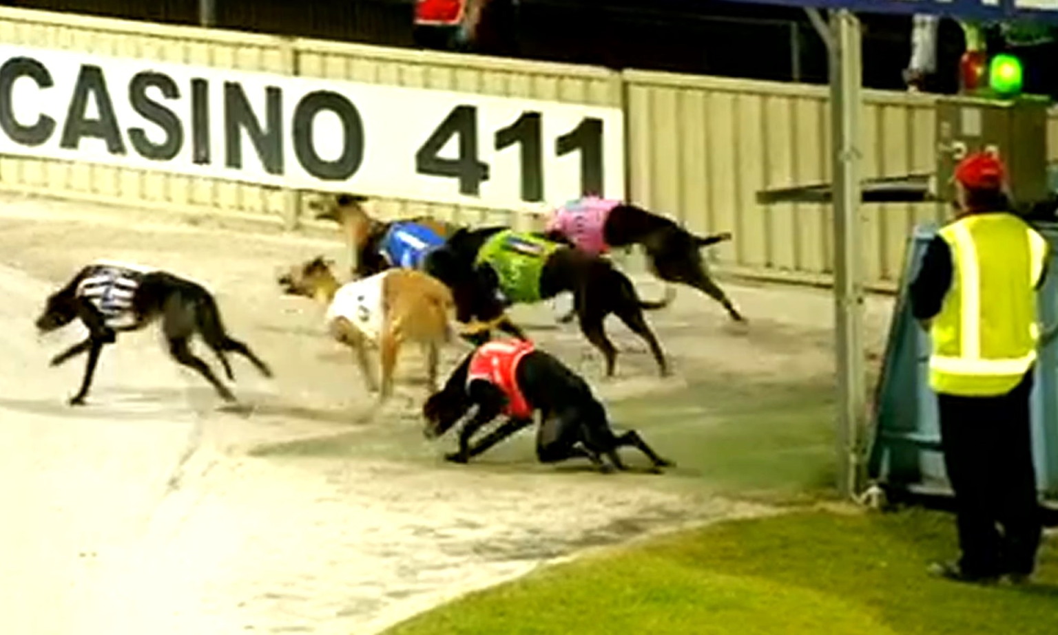 “Memorable moments” of racing horror - Coalition for the Protection of ...