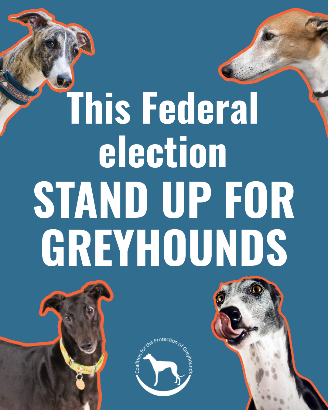 Stand up for greyhounds this Federal election - Coalition for the ...