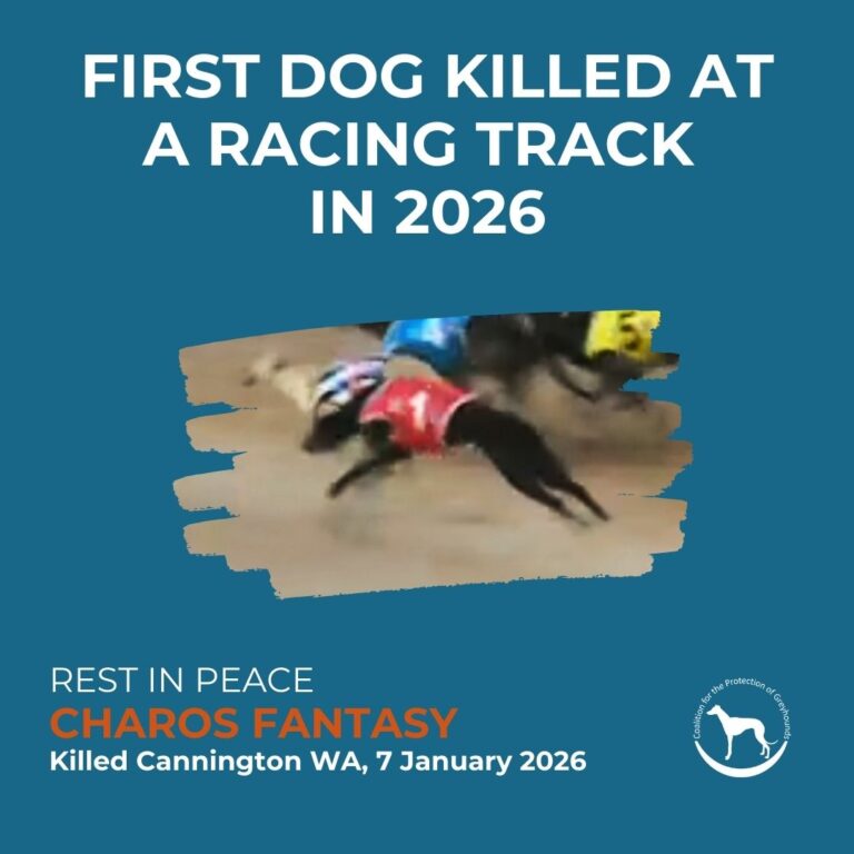 2026 Australian Track Deaths and Injuries - Coalition for the ...